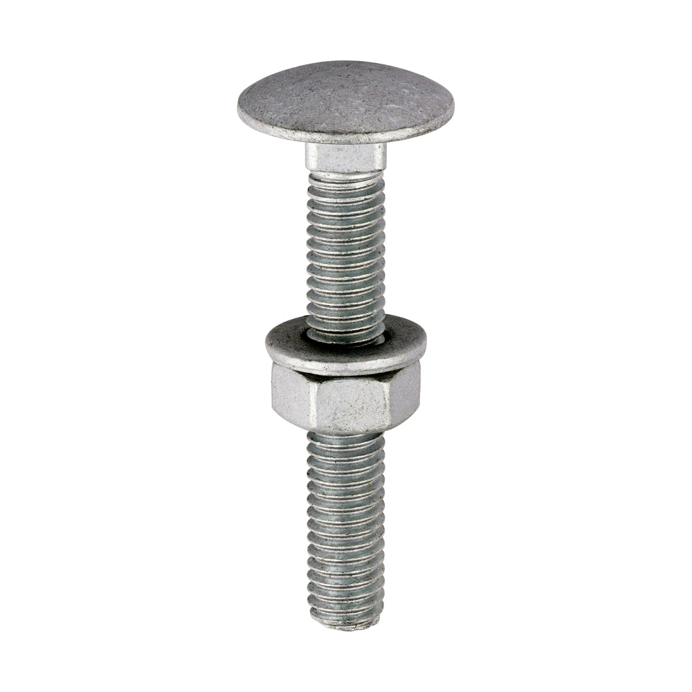 Carriage Bolts with Hex Nuts & Form A Washers - Dome Head - Exterior T ...