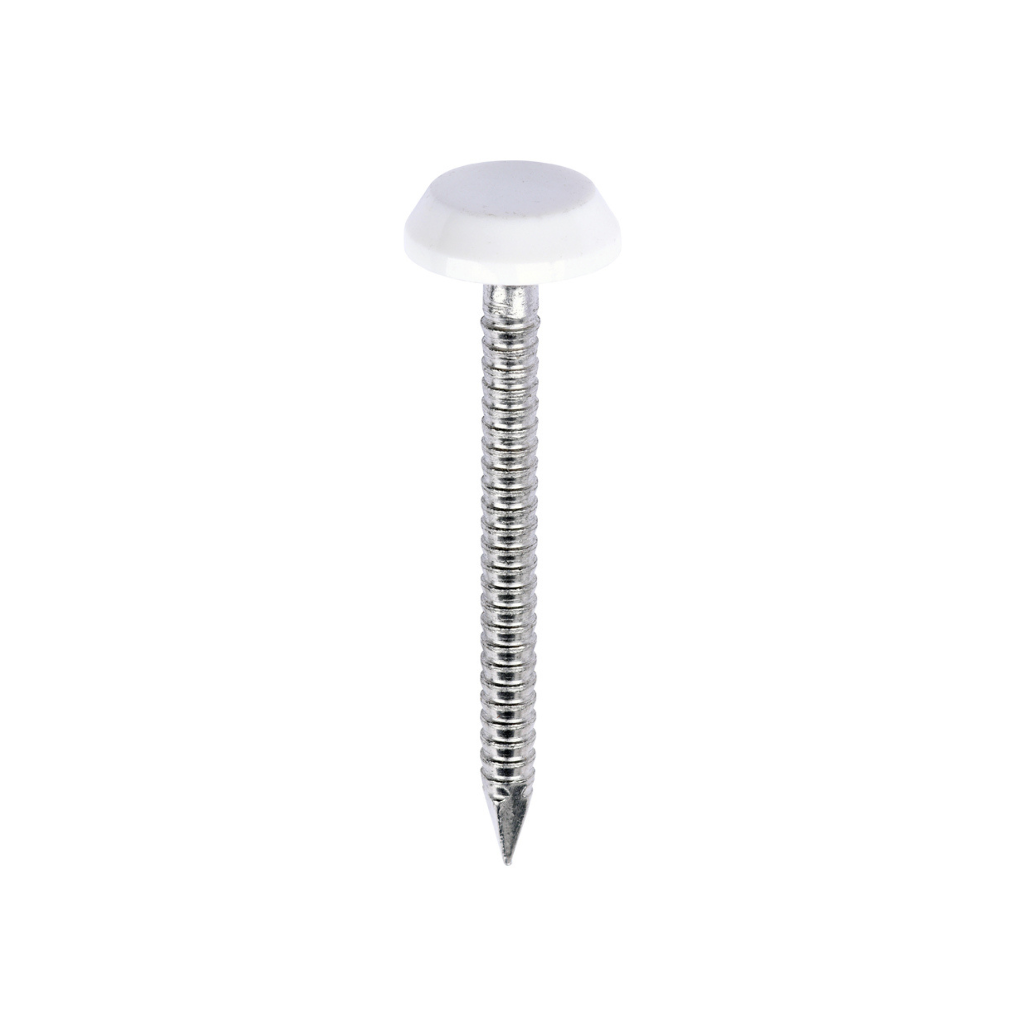 Polytop Nails - A4 Stainless Steel Polymer Cap Nails for Carpentry, Cl ...